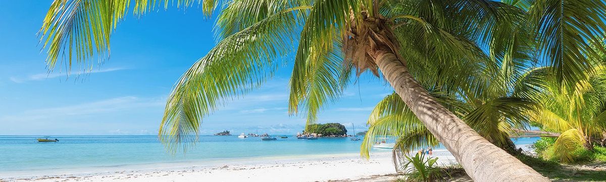 Playas | Destinos | Travel By México