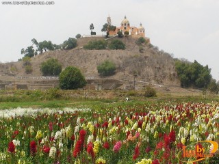 Cholula – Noticias y Eventos | Travel By México