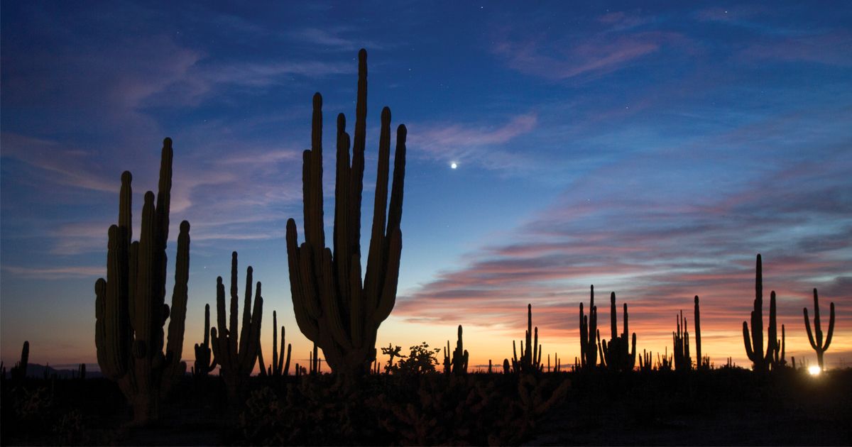 Guía turística de Hermosillo | Travel By México